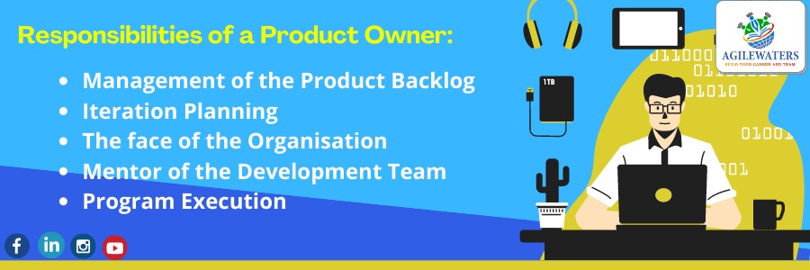 What are the Roles and Responsibilities of a Product Owner ...